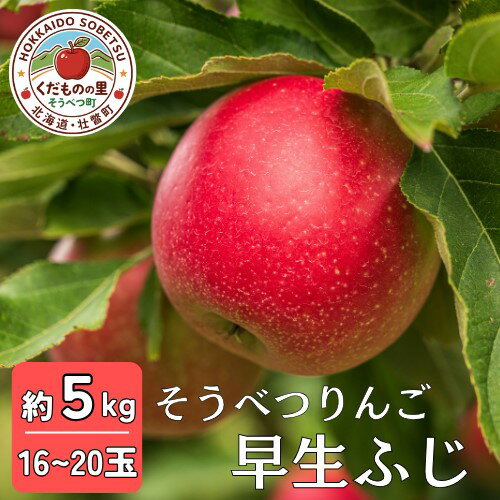名称 【先行予約】 早生ふじ 約5kg SBTB012 内容/内容量 早生ふじ約5kg(14〜18玉) 返礼品の特徴 北海道の安心・安全認証「YES！clean」（※1）を取得しているファームアグリエイトより「壮瞥町産りんご」をお届け致しま...