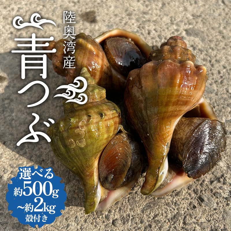 返礼品詳細 名称 殻付き 青つぶ貝 内容量 容量をお選びください ・500g ・1kg ・2kg 産地 青森県陸奥湾産 賞味期限 配送日含め約3日間 保存方法 冷蔵 配送方法 冷蔵 発送期日 2025年11月中旬頃～2026年3月下旬頃まで...