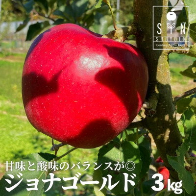 名称 りんご ジョナゴールド 3kg 松陽園 樹上 完熟 岩手県 遠野市 産 先行予約 農家直送 保存方法 冷蔵 発送時期 2026-10-07～2026-11-06 提供元 松陽園 配達外のエリア 離島 お礼品の特徴 優しい畑作りから生ま...