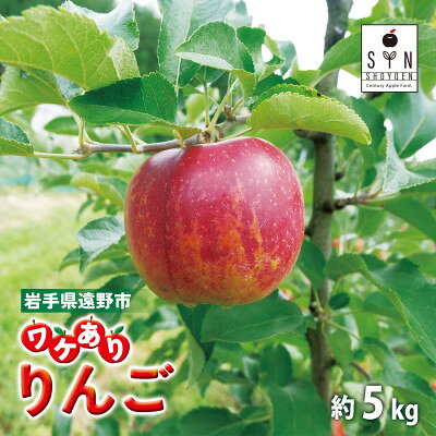 名称 訳あり りんご 5kg 岩手県 遠野市産 松陽園 品種おまかせ 樹上完熟 フルーツ 家庭用 保存方法 常温 発送時期 2026-11-01～2027-01-07 提供元 松陽園 配達外のエリア なし お礼品の特徴 岩手県遠野市産の【訳...