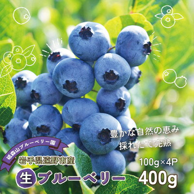 名称 ブルーベリー 生 400g 岩手県 遠野市 栽培期間中 農薬不使用 遠野食工房蔵 砥森山 保存方法 冷蔵 発送時期 ～2026-07-27 提供元 遠野食工房蔵 配達外のエリア 離島、沖縄県、九州 お礼品の特徴 遠野市宮守町にある霊峰...