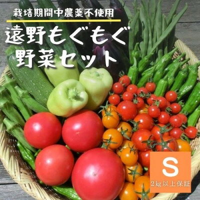 名称 夏野菜セット 8種 Sサイズ 栽培期間中農薬不使用 岩手県 遠野市 遠野もぐもぐカントリー 保存方法 冷蔵 発送時期 2026-07-31～2026-10-07 提供元 遠野もぐもぐカントリー 配達外のエリア 離島 お礼品の特徴 【内...