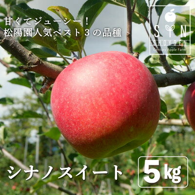 名称 先行予約 松陽園の樹上 完熟 りんご シナノスイート 5kg 岩手県 遠野市産 農家直送 保存方法 冷蔵 発送時期 2026/10/12～2026/10/31 提供元 松陽園 配達外のエリア 離島 お礼品の特徴 シナノスイートは「ふじ...