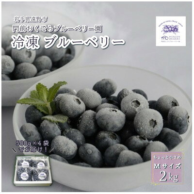 名称 冷凍ブルーベリー ちょっと小さめ Mサイズ 2kg (500g×4個) 門前おくでらブルーベリー園 保存方法 冷凍 発送時期 2026/07/10から順次発送 ※2026/07/10以降のお申し込みは1～2週間程度で順次発送 提供元 ...