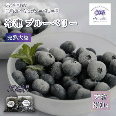 名称 冷凍ブルーベリー 大粒 合計800g(400gパック2個入り) 門前おくでらブルーベリー園 保存方法 冷凍 発送時期 2026/07/10から順次発送 ※2026/07/10以降のお申し込みは1～2週間程度で順次発送 提供元 門前おく...