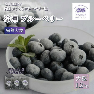 名称 冷凍ブルーベリー 大粒 1.2kg (400gパック3個入り) 門前おくでらブルーベリー園 保存方法 冷凍 発送時期 2026/07/10から順次発送 ※2026/07/10以降のお申し込みは1～2週間程度で順次発送 提供元 門前おく...