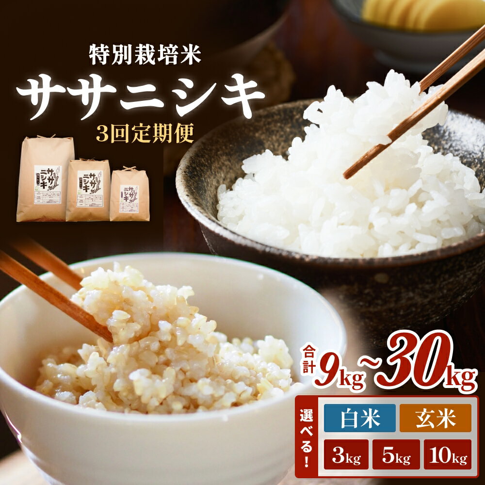 製品仕様 商品名米 定期便 全3回 ササニシキ 特別栽培米 合計9kg〜30kg 小分け 3kg 5kg 10kg 選べる 白米 玄米 お米 精米 ささにしき 家庭用 栽培期間中 農薬不使用 化学肥料不使用 宮城 石巻 宮城県 石巻市 内容...