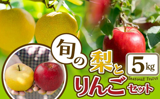 名称【先行予約】梨とりんご詰め合わせ5kg 内容量・個数 5kg 提供陽気な母さんの店（株） 発送期日入金確認ののち、9月上旬頃(収穫後)より順次発送 ※品種は収穫時期により変わります。 ※品種のご指定はできません。 ※収穫時期は気候により...