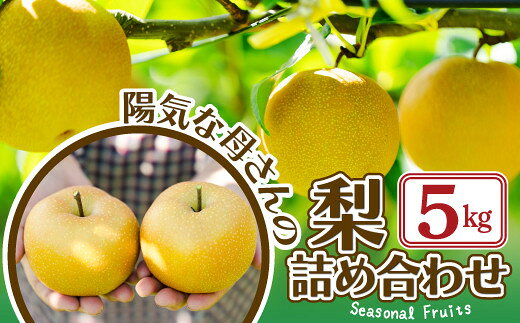名称【先行予約】R8年産 梨詰合わせ 5kg 内容量・個数 5kg 提供陽気な母さんの店（株） 発送期日入金確認ののち、9月上旬頃(収穫後)より順次発送※収穫時期は気候により前後しますので、配送時期は目安となります。※品種は収穫時期により変...