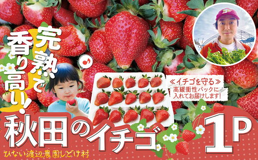 名称完熟で香り高い！秋田のイチゴ 内容量・個数ご希望の内容量をお選びください。 提供ひない渡辺農園しどけ村 発送期日ご注文確認後、収穫次第順次発送。収穫期間中は3週間以内に順次発送 【！お申込みいただいた時期によりお届け時期が異なります！】...