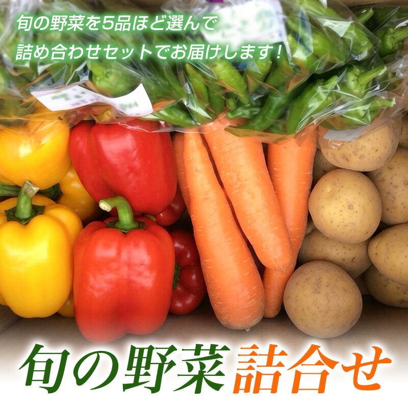 商品説明 名称 旬の野菜詰合せ 産地名 山形産 内容量 旬の野菜詰合せ(5品程度) 商品発送時に畑で生産している野菜の詰め合わせになります。 発送期間 2026年07月20日頃〜2026年12月28日頃 ※天候や収穫状況により配送時期が前後...