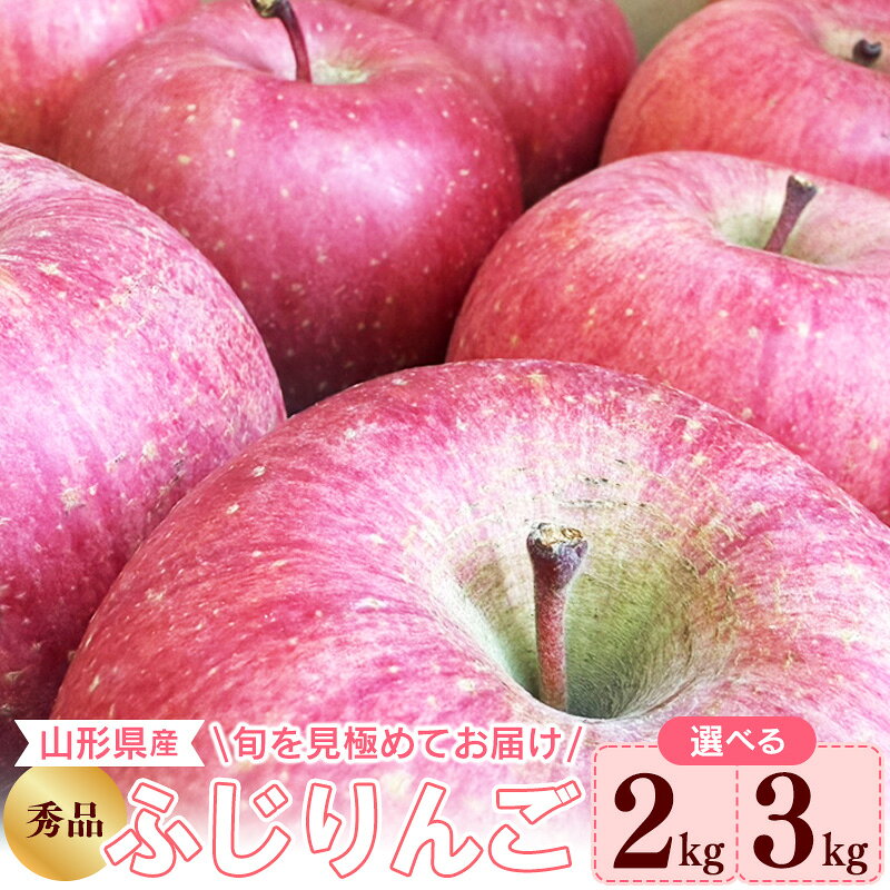山形県産 ふじりんご ふじりんごは、甘味と酸味のバランスに優れ、果汁豊富で、シャキッとした歯応えが特徴です。 噛むほどに広がる、りんご本来のしっかりとした味わいをお楽しみください。 【果物と向き合い、旬を見極めてお届けします。】 栽培から収...
