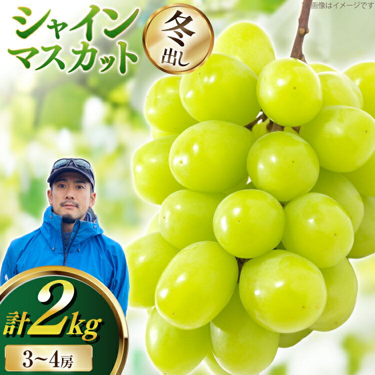 2026年12月前半〜2026年12月後半において順次発送 ※申込期日：2026年12月5日（決済確認） ※申込が集中した場合は、お届けまでお待たせすることがございます。 ※収穫状況によって発送時期が変更になる場合があります。 ※配送不可エ...