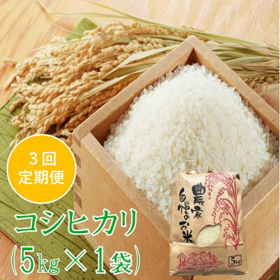 名称 【発送月固定定期便】コシヒカリ 精米 5kg　佐藤全3回 精米時期 「別途商品ラベルに記載」 発送時期 【1回目】発送月の前月末日までのお支払いで発送月中旬より順次発送【2回目以降】発送月中旬より順次発送 提供元 株式会社小国町地域総...