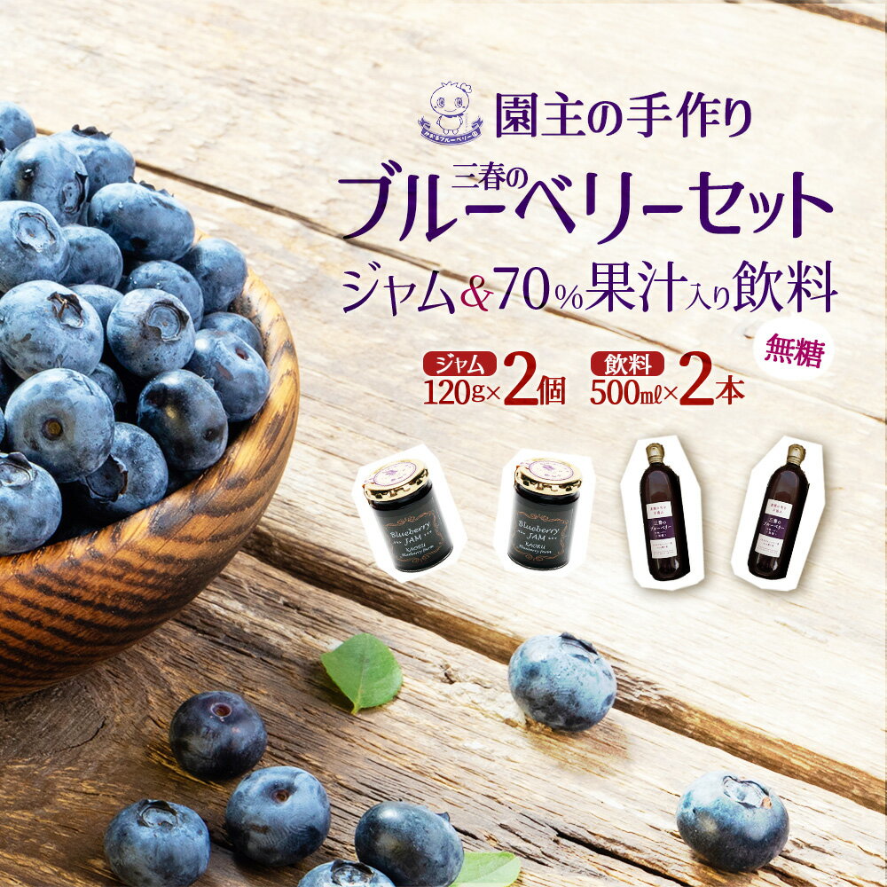 返礼品詳細 名称 ブルーベリー70%果汁入り飲料（無糖）500ml×2本とジャム120g×2本セット 内容量 ・70％果汁入り飲料（無糖）:500ml×2本 ・瓶入りブルーベリージャム:120g×2本 原材料名 【ジャム】ブルーベリー（福島...