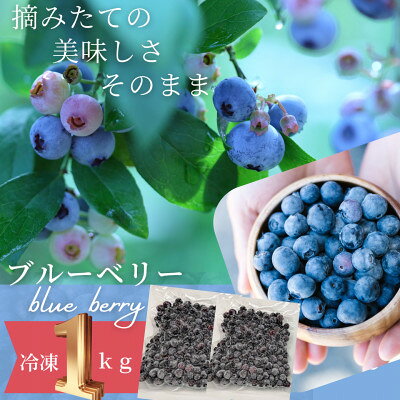 名称 【茨城県産】冷凍ブルーベリー1kg(500g×2パック) 保存方法 冷凍 発送時期 お申込みから1～2週間程度で順次発送 提供元 株式会社かすみがうらFC 配達外のエリア 離島、沖縄県 お礼品の特徴 茨城県かすみがうら市の特産であるブ...