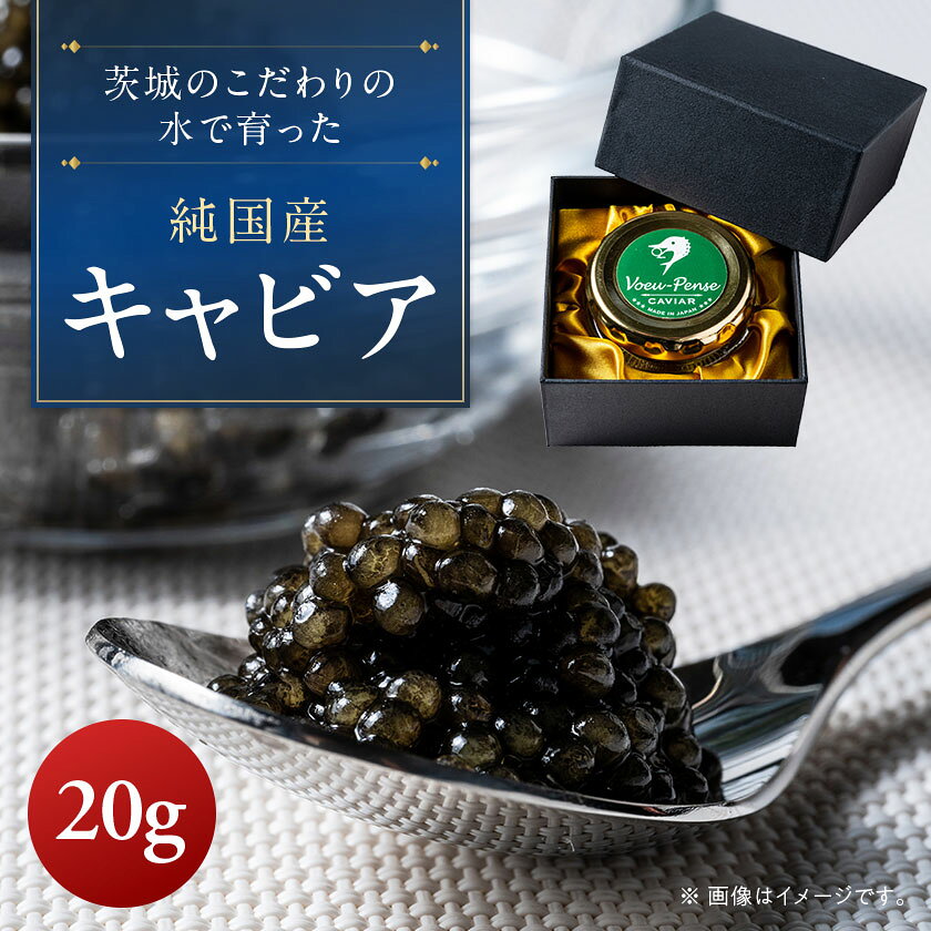 名称 【先行予約】純国産キャビアVoeu-Pence　20g×1個 保存方法 冷凍 発送時期 2026年7月より順次発送※生産・天候・交通等の事情により遅れる場合があります。 提供元 株式会社トキタ 配達外のエリア 離島、沖縄県 お礼品の特...