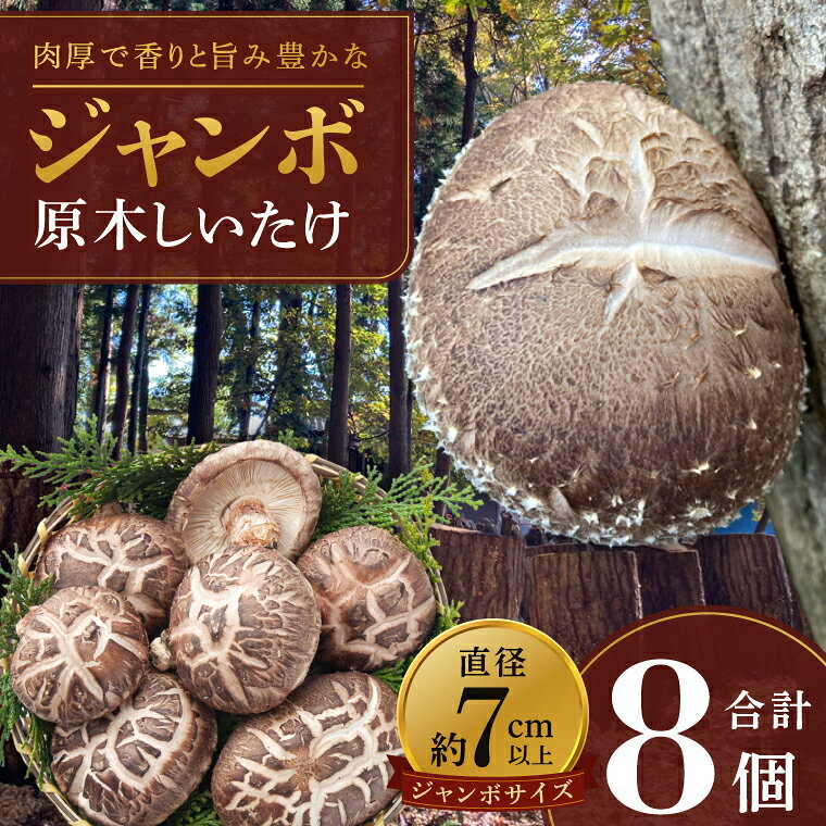 □原木シイタケの特徴 生しいたけの生産量のうち、わずか約5%が【原木栽培】のしいたけ。当園は秋～翌春に収穫できる「にく丸」1品種のみを露地栽培しています。 ＊令和6年生産量のうち94.7％が菌床栽培（林野庁HP/特用林産物の生産動向） 雑木...