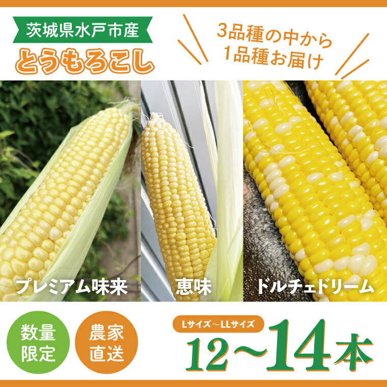 甘みの強いスウィートコーンの恵味（コクのある甘み） ドルチェドリーム（フルーティーでスウィーツのような甘み） プレミアム味来（ジューシーな甘みで粒がプリプリ） の3種の中から一番旬の品種をお届けします。 名称 とうもろこし 12〜14本 内...