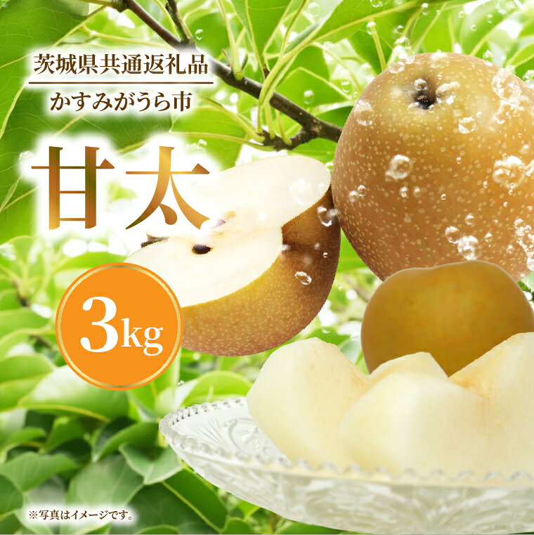 【茨城県共通返礼品／かすみがうら市】 甘太（かんた）は、「王秋」と「あきづき」の交配で生まれた農研機構育成の晩生品種です。 その名の通り平均糖度13～14度という高い甘みと、果肉が柔らかく果汁たっぷりでジューシーな食感が特徴です。 ひと口食...