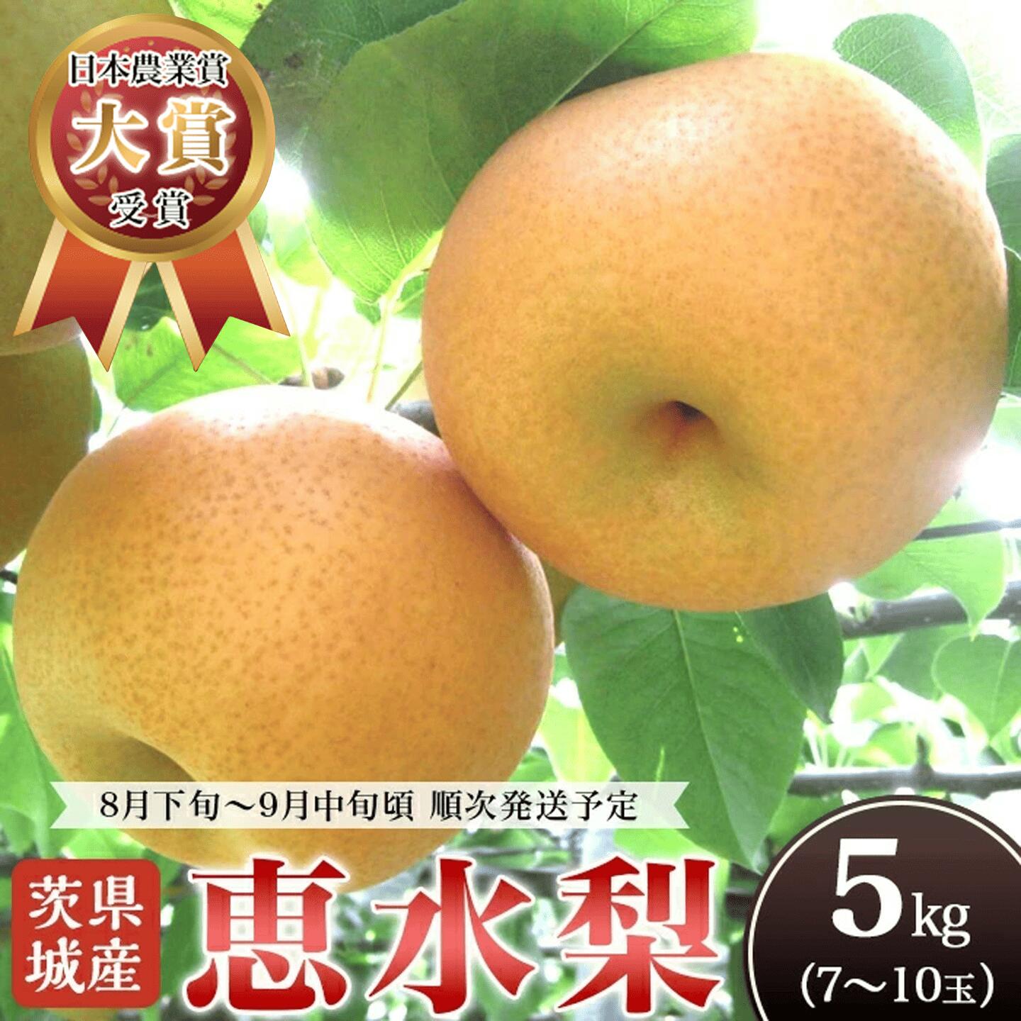 ・ふるさと納税よくある質問はこちら ・寄付申込みのキャンセル、返礼品の変更・返品はできません。 　あらかじめご了承ください。 ★第1回全国梨選手権　最高金賞を受賞しました！！ 商品詳細 名称 茨城県産「恵水梨」約5kg（7～10玉） 産地名...