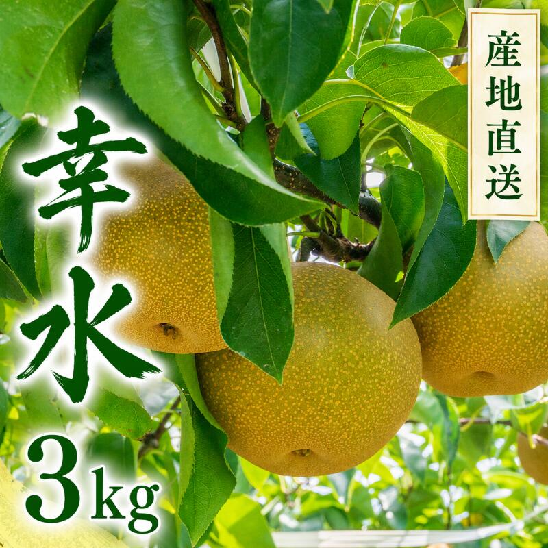 【産地直送】梨 幸水 3kg 夏を感じる瑞々しいひととき 日本で最も栽培されている梨です。 白い果肉と梨としてはかための果肉でみずみずしく、酸味が少ない梨が幸水です。 注意事項 高温・多湿・直射日光を避け、涼しい場所に保管してください。 必...