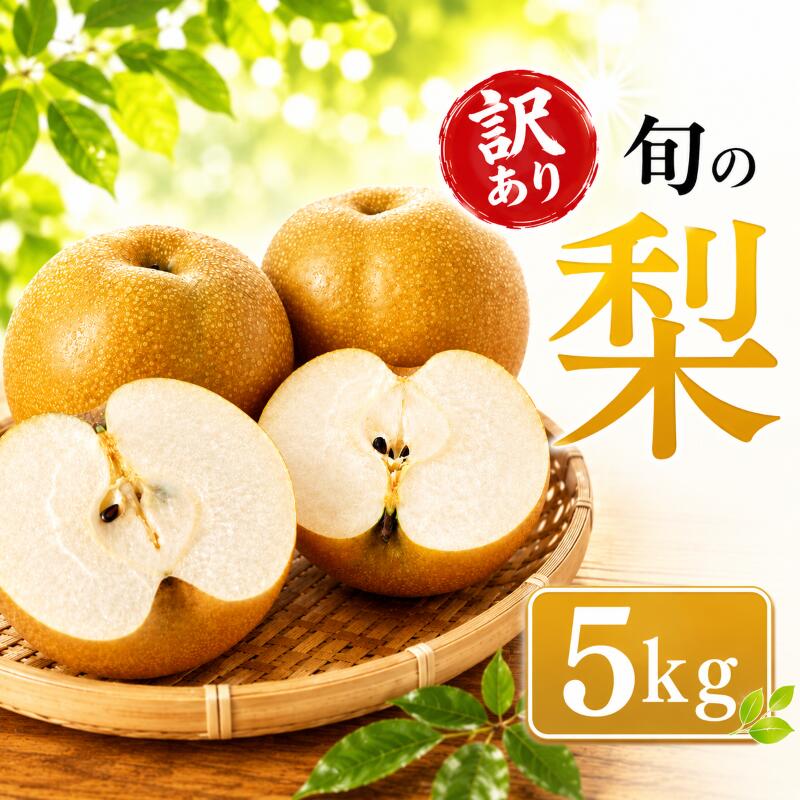 訳あり 梨 5kg 梨の産地 茨城県筑西市 梨の生産地として知られる、茨城県筑西市で生産された梨です。 変形や大きさの不揃い、果皮に黒い斑点が見られるものを含むため、訳ありとしています。味や美味しさに変わりはありません。 品種はおまかせとな...