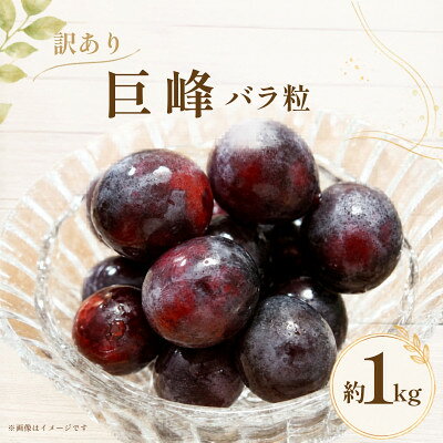 名称 産地直送 訳あり巨峰 バラ粒 1kg 【2026年発送】 保存方法 常温 発送時期 2026/08/30～2026/09/15 提供元 矢口果樹園 配達外のエリア 離島、沖縄県 お礼品の特徴 茨城県かすみがうら市の豊かな自然に育まれた...