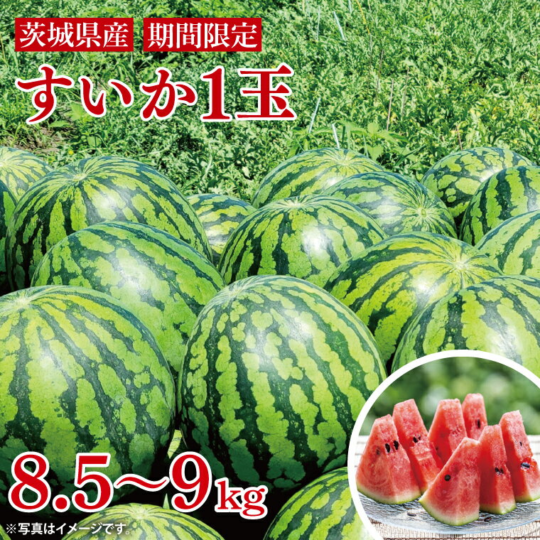 採れたてと甘さが自慢！ すいか栽培に適した『阿見の大地』で丹精込めて作ったすいかです。 収穫時期を見極め1つ1つ丁寧に収穫します。 一番おいしい時期に収穫しているので、届いたらお早めにお召し上がりください。 ★【2026年5月下旬～7月中旬...