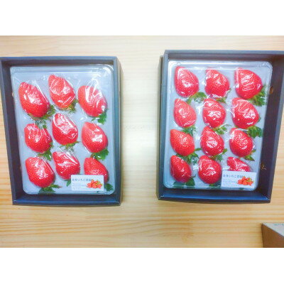 名称 大切な方への贈り物に!金井いちご農園が育てた甘くてジューシーな「やよいひめ」2箱 保存方法 冷蔵 発送時期 2027-02-20～2027-05-31 提供元 金井いちご農園 配達外のエリア 離島、北海道、沖縄県、中国、四国、九州 お...