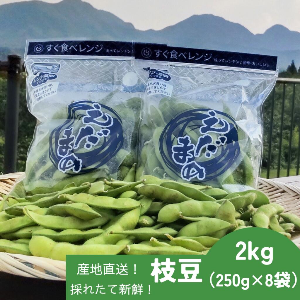 お礼品説明 名称 枝豆 産地 国産（群馬県高山村） 内容量 2kg（250g×8袋） ※品種の指定は受け付けておりません。 発送日 早めの発送となることがあります。ご不在期間がある方は備考欄にご記入ください。 お届け日時指定 お届け日指定不...