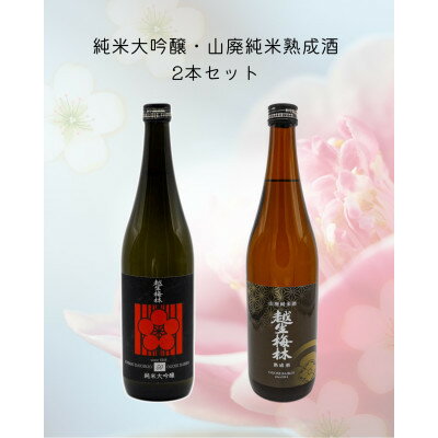 名称 越生梅林 旨味たっぷり2本セット 保存方法 常温 発送時期 お申し込み後2～3週間程度で順次発送 提供元 有限会社佐藤酒造店 配達外のエリア なし お礼品の特徴 佐藤酒造店では、「越生梅林(おごせばいりん)」「魁雪(かいせつ)」「中田...