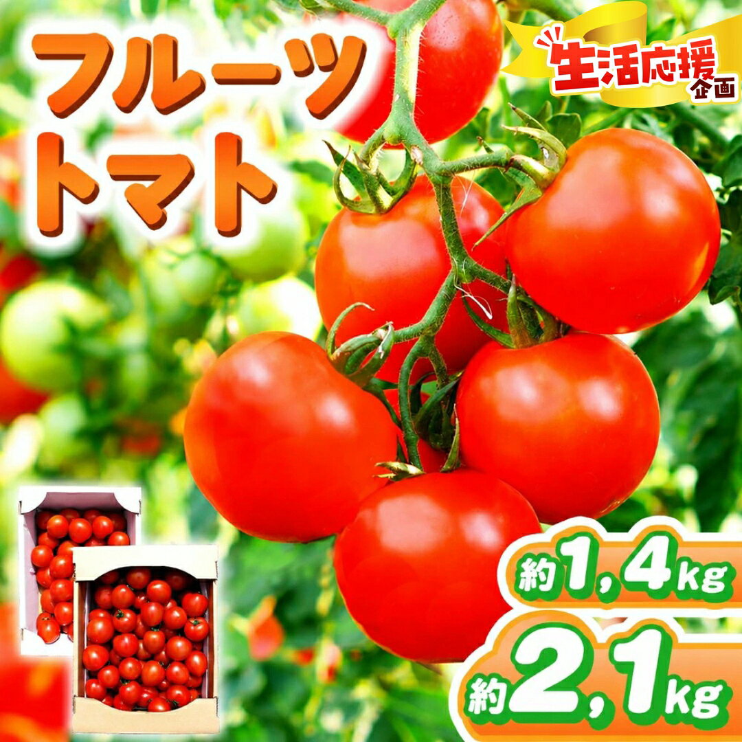 商品説明 名称 フルーツトマト 約1.4kg or 約2.1kg 内容量 フルーツトマト 約1.4kg フルーツトマト 約2.1kg アレルギー － 賞味期限 青果物の為、お早めにお召し上がりください 注意事項 ※返礼品の特性上、発送時期が...