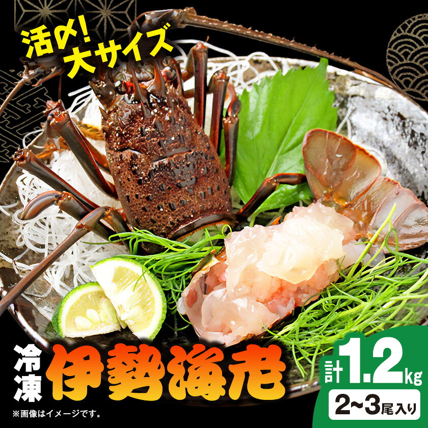 名称 活〆冷凍伊勢海老 1.2kg 保存方法 冷凍 発送時期 2026-8月以降、順次発送※生産・天候・交通等の事情により遅れる場合があります。 提供元 伯東商事株式会社（いすみ市） 配達外のエリア 離島 お礼品の特徴 千葉県は、全国でも1...