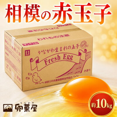 名称 相模の赤玉子約10kg　140個+割れ保証10個前後 保存方法 冷蔵 発送時期 2026年7月より順次発送※生産・天候・交通等の事情により遅れる場合があります。 提供元 神奈川中央養鶏農業協同組合 配達外のエリア 離島 お礼品の特徴 ...