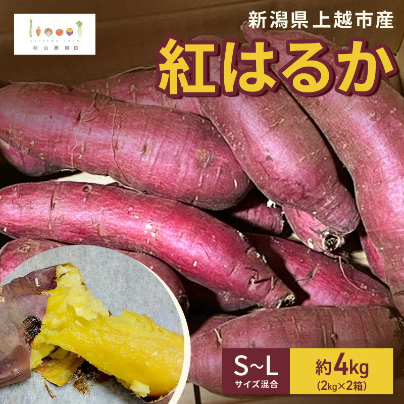 名称 紅はるか内容量紅はるか2kg×2箱　生産者：秋山農場グリーンプロジェクト新潟県上越市三和区神田1227産地新潟県上越市事業者秋山農場グリーンプロジェクト配送方法常温配送備考※画像はイメージです。※到着後は直射日光を避けて、お早めにお召...