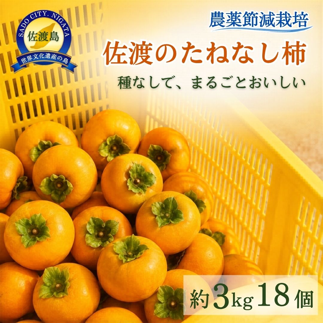 返礼品の内容について 返礼品名 たねなし柿（島のかき）農薬節減栽培　3キロ 返礼品について おけさ柿で知られる、たねなし柿ですが、当園では「しまの柿」の愛称でお届けしています。当園は、できる限り農薬の使用量を減らして、殺虫剤2回・殺菌剤3回...