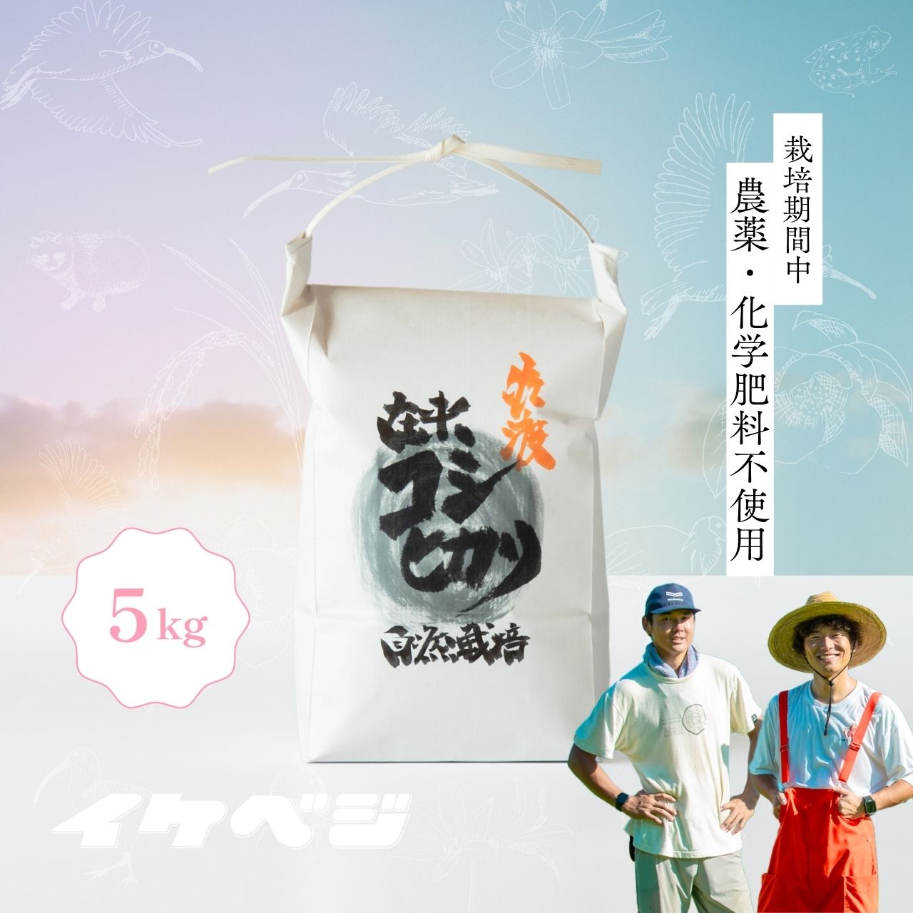 返礼品の内容について 返礼品名 新潟県佐渡産 令和7年産 【在来コシヒカリ】 白米 5kg 返礼品について コシヒカリは自然な風味と甘みが特徴で、炊き立てのご飯はもちもちとして香り高く、一度食べたらやめられないと評判です。その中でも在来品種...