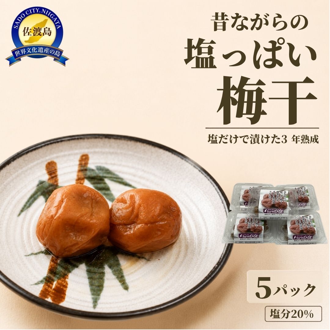 返礼品の内容について 返礼品名 昔ながらの塩っぱい梅干　5パック 返礼品について 農家庭先の梅の木から収穫。農薬を使わず自然に成った梅を使用し、シンプルに塩だけで漬け込んだ完全無添加製法の梅干。海の豊かなミネラル分をいっぱい含んだ海風が吹く...