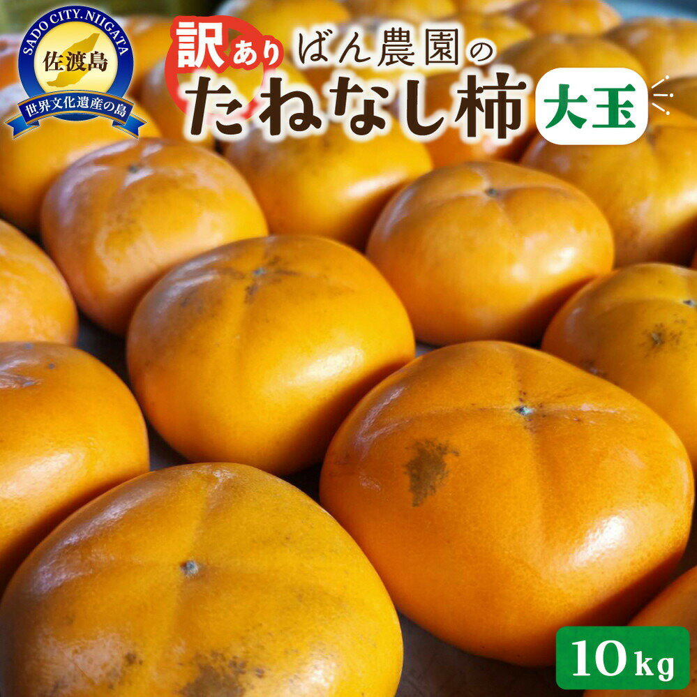 返礼品の内容について 返礼品名 【2026年10月以降発送】訳あり大玉たねなし柿10kg（箱込み重量）佐渡島産 返礼品について 雄大の自然の中で、厳格な基準を定め羽茂地域をあげて作り上げてきた自慢のたねなし柿です。品種は利根早生柿、平核無柿...