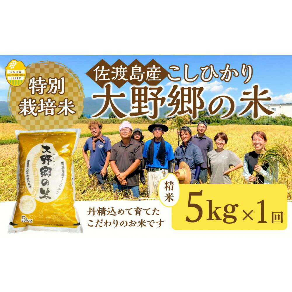 返礼品の内容について 返礼品名 【令和7年産】佐渡島産 特別栽培米こしひかり「大野郷の米」 精米5kg×1袋 返礼品について 佐渡ヶ島のほぼ中央に位置する新穂大野地区は大野郷とも呼ばれており、野生の朱鷺が最後に生息していた小佐渡の山のふもと...