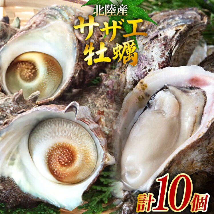 2026年6月前半～2026年8月後半において順次発送 ※申込期日：2026年8月15日（決済確認） ※申込が集中した場合は、お届けまでお待たせすることがございます。 ※収穫状況によって発送時期が変更になる場合があります。 ※配送不可エリア...