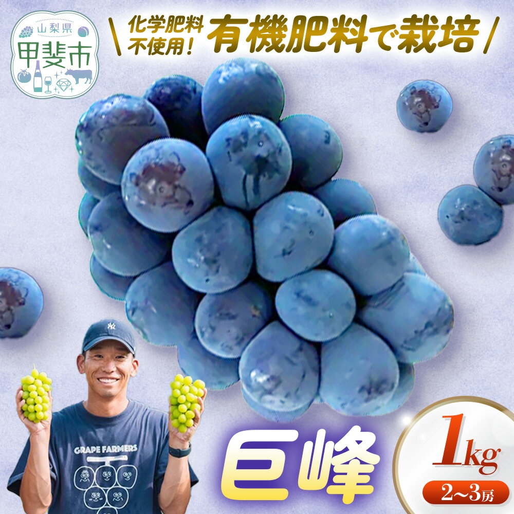 山梨県甲斐市のかめざわ農園で育てた巨峰です。黒系ぶどうならではのコクのある甘みと果汁感を楽しめる品種です。旬の時期に収穫したものを1kgでお届けします。生育状況により房形や粒の大きさに多少個体差が出る場合があります。 商品説明 名称 山梨県...