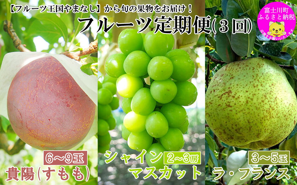 《商品の説明》 【大粒のシャインマスカットとすもも、ラフランスを最も美味しい旬な時期に順次発送させていただきます！】 【シャインマスカット】 長い日照時間で、糖度をじっくりとあげた大粒のシャインマスカットが自慢です。 まごころ込めて育てた極...
