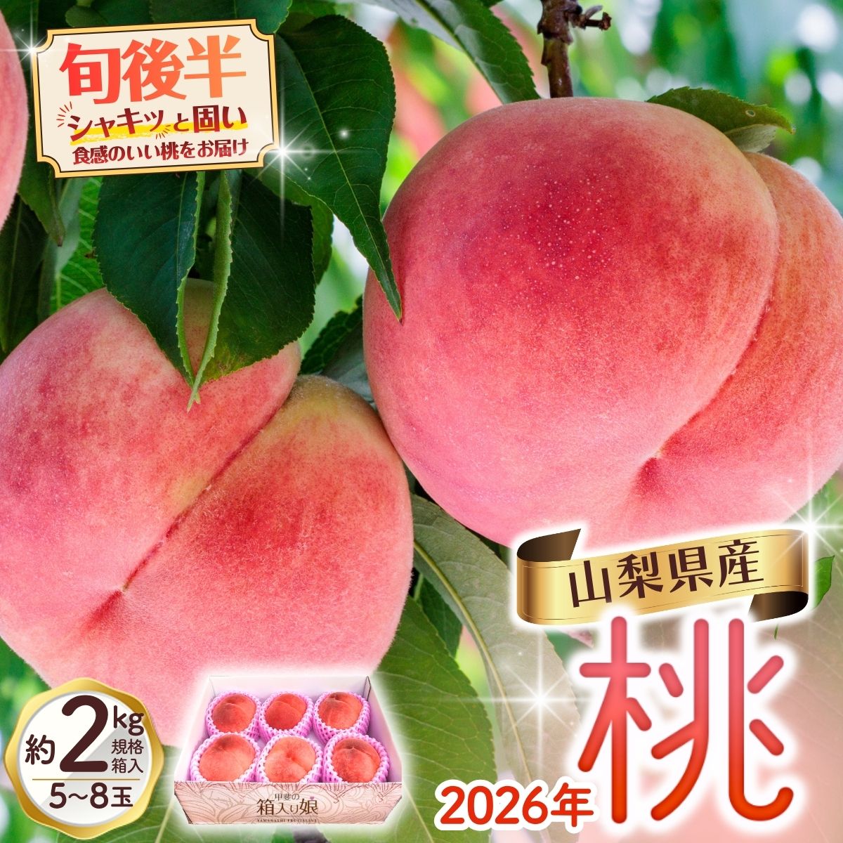 特徴 ★品種おまかせ！富士の見えるくだもの畑より思いを込めて朝もぎ直送致します★ 「桃」の事を熟知した畑の職人だからこそ分かる桃が教える『完熟ですよ』の合図。 極限まで熟したベストなタイミングを見逃さず収穫しお届けする自慢の逸品です！ 桃の...