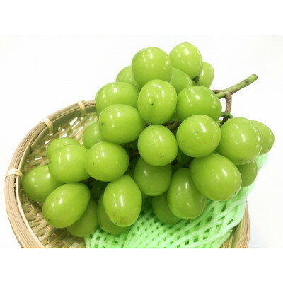 名称 長野県産　北信州　シャインマスカット　産地直送　ハウスもの　5kg(6～9房) 保存方法 冷蔵 発送時期 2026-01-05～2026-02-06 提供元 株式会社センドイット 配達外のエリア 離島 お礼品の特徴 甘味の強さは随一、...