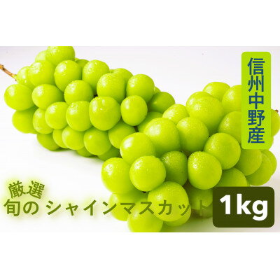 名称 【厳選 旬のシャインマスカット1kg】フルーツ大国信州中野産 保存方法 冷蔵 発送時期 2026-09-01～2026-11-30 提供元 有限会社信州興産 配達外のエリア 離島 お礼品の特徴 志賀高原の麓、信州中野から厳選の自慢の採...