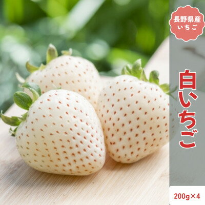 名称 【2026年発送予定】長野県産 希少 白いちご 4パック【800g】 保存方法 冷蔵 発送時期 2025/12/30～2026/06/30 提供元 株式会社センドイット 配達外のエリア 離島 お礼品の特徴 うっすらと桃色が差した果皮が...
