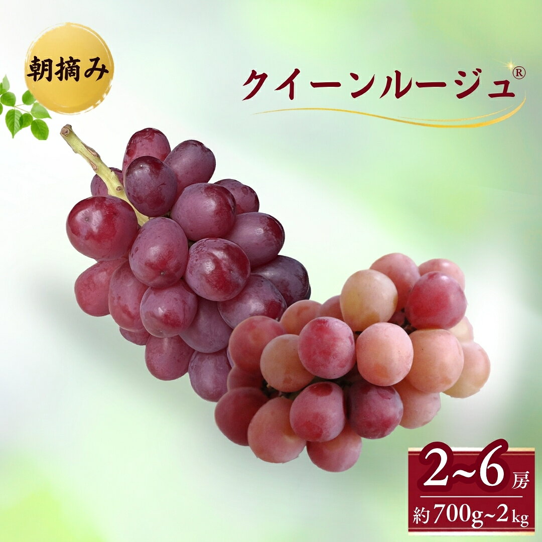 商品説明 名称 【2026年先行予約】クイーンルージュ® 朝摘み 約700g ~ 約2kg 内容量 選べる　約700g~2kg（4~6房） 消費期限 お早めにお召し上がりください。 提供元 島田農園 配送方法 冷蔵配送 発送時期 2026年...