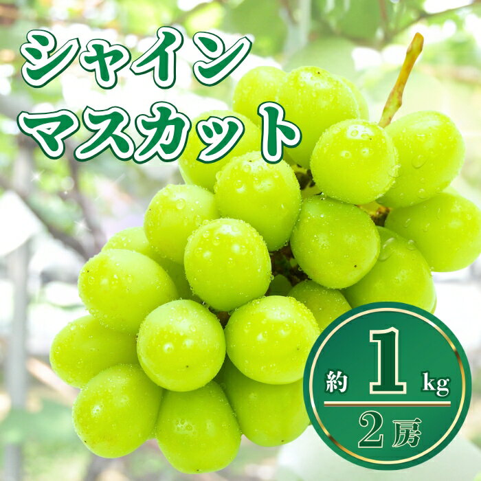 商品説明 名称 【2026年先行予約】シャインマスカット 約1kg 内容量 シャインマスカット約1kg(2房)※房の数は実の大きさや付き具合によって変動する場合があります 消費期限 お早めにお召し上がりください。 提供元 ながの農業協同組合...